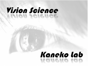 Kaneko Laboratory – Institute of Science Tokyo